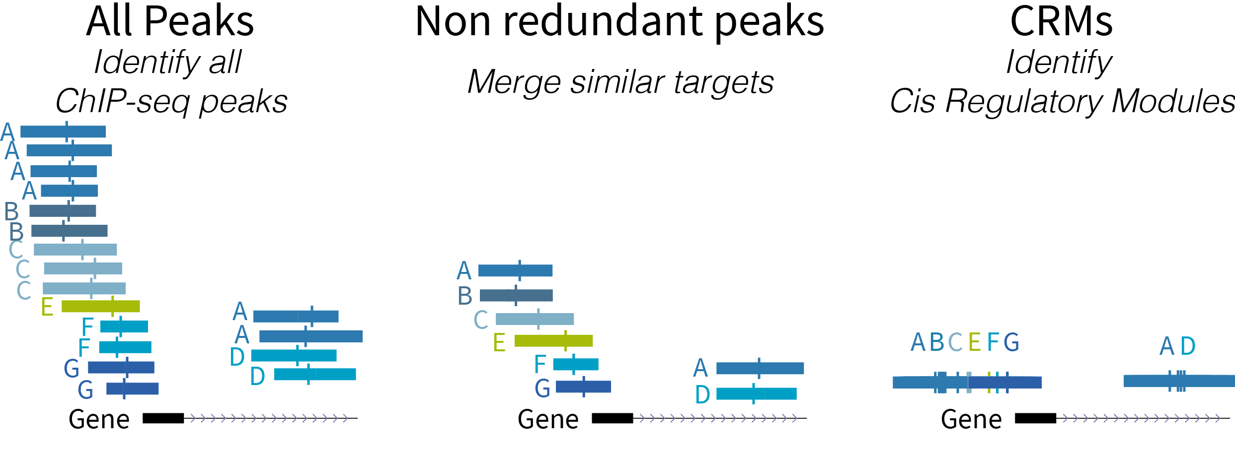 ReMap ChIP-seq Track Settings